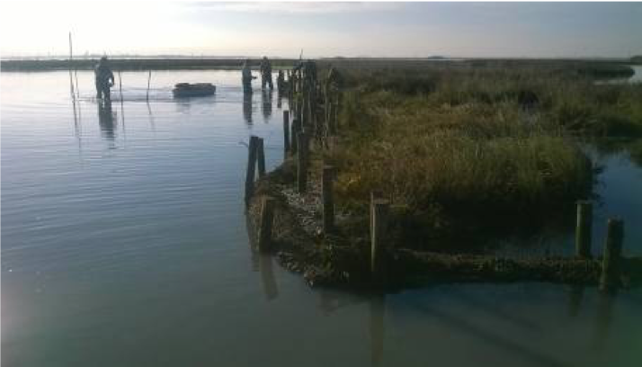 Saltmarshes Restoration in the Venice Lagoon Addresses Land Erosion ...