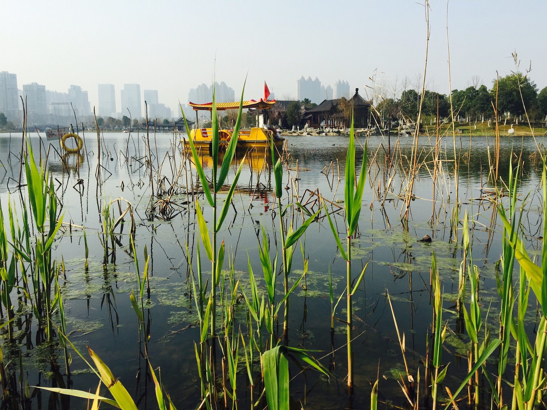 Wuhan’s Climate Change Vulnerability Assessment Programme - C40 Cities
