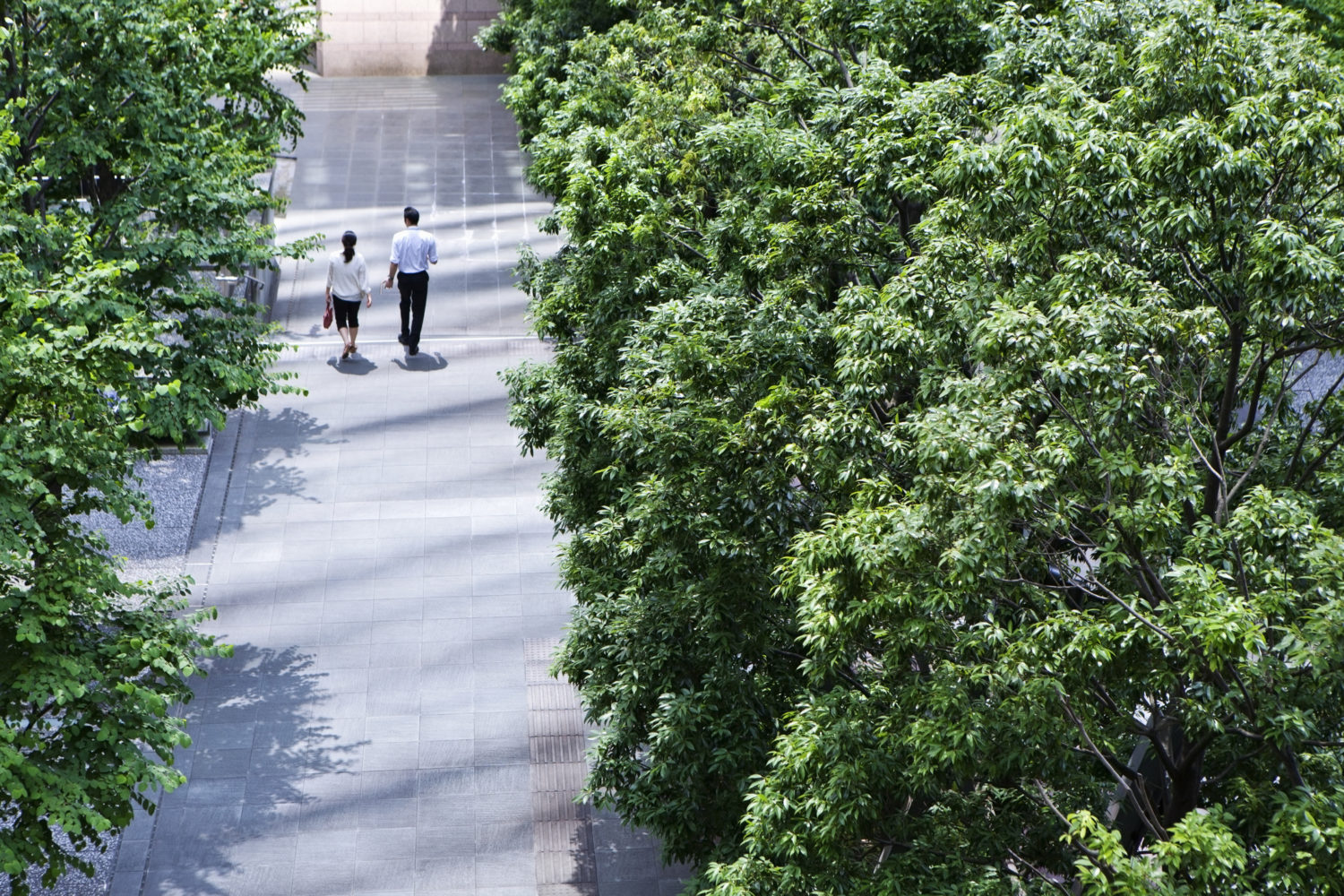 Green & Healthy Streets - C40 Cities